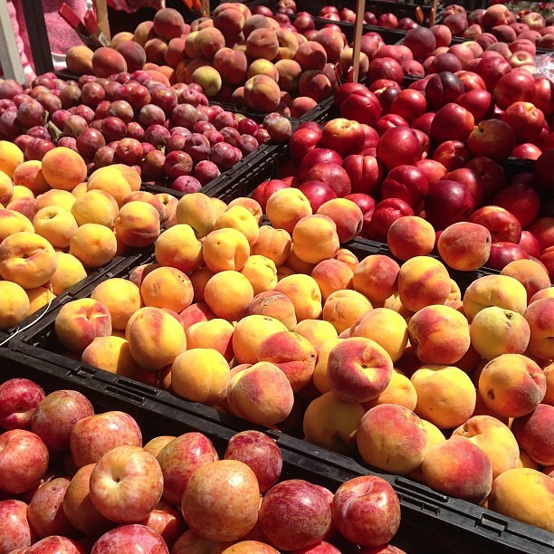 Sweet, sweet peaches, plums and nectarines ? ? ? - The Market Co. GC