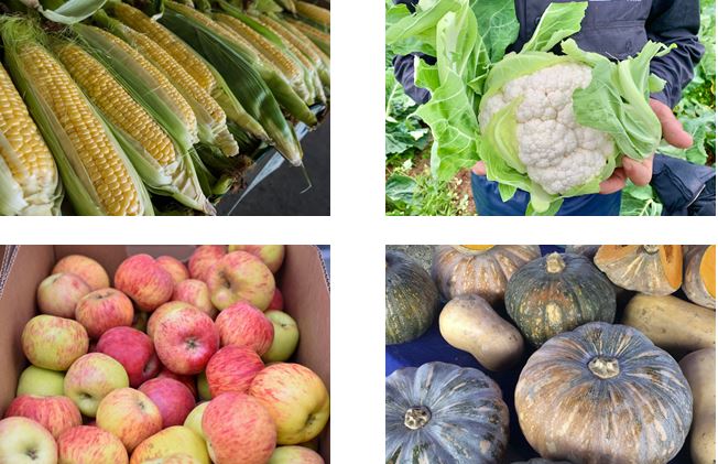 FRESH NOW - The Market Co. GC