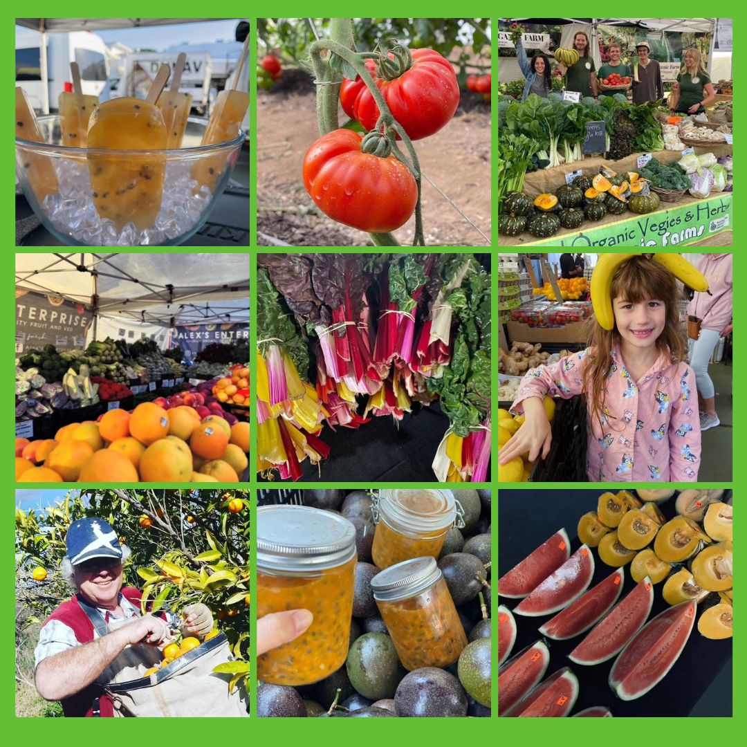 SUPPORT OUR LOCAL FRESH FOOD VENDORS - The Market Co. GC